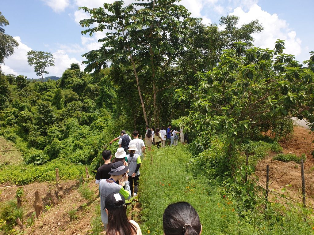 Model Forest for Livelihood Improvement of Forest Dependent Communities ...