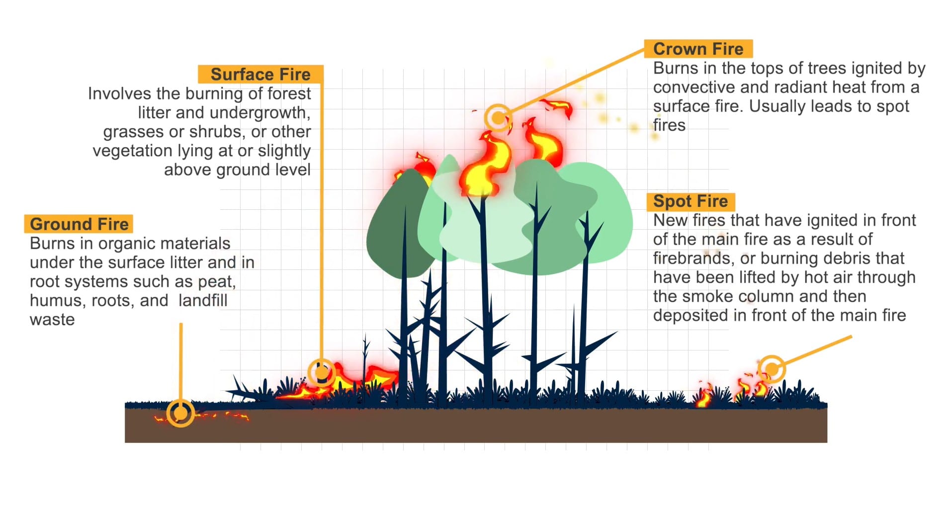 Forest School Fire Circle Diagram