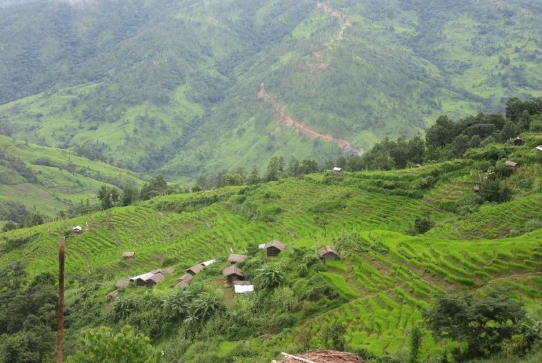 Forests and forestry in Myanmar: an overview of forestry laws, policies ...