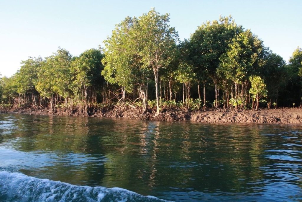 Forests and forestry in Myanmar: an overview of forestry laws, policies ...