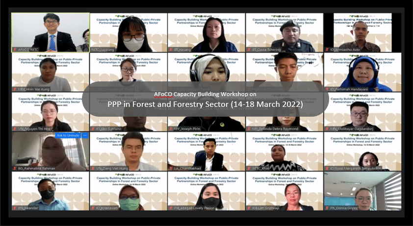 Capacity building workshop on public-private partnerships in the ...