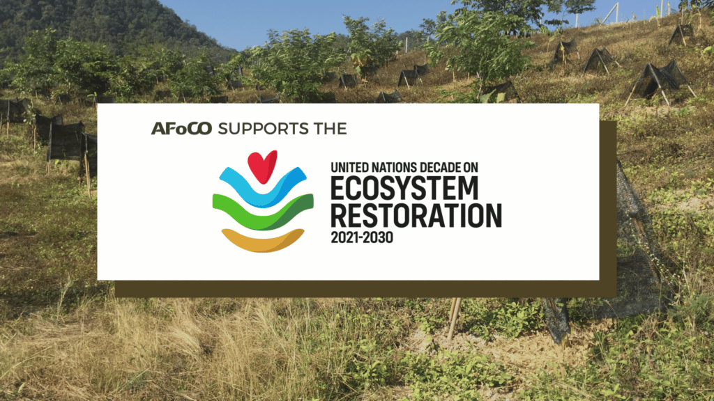 AFoCO becomes UN Decade Supporting Partner | AFoCO