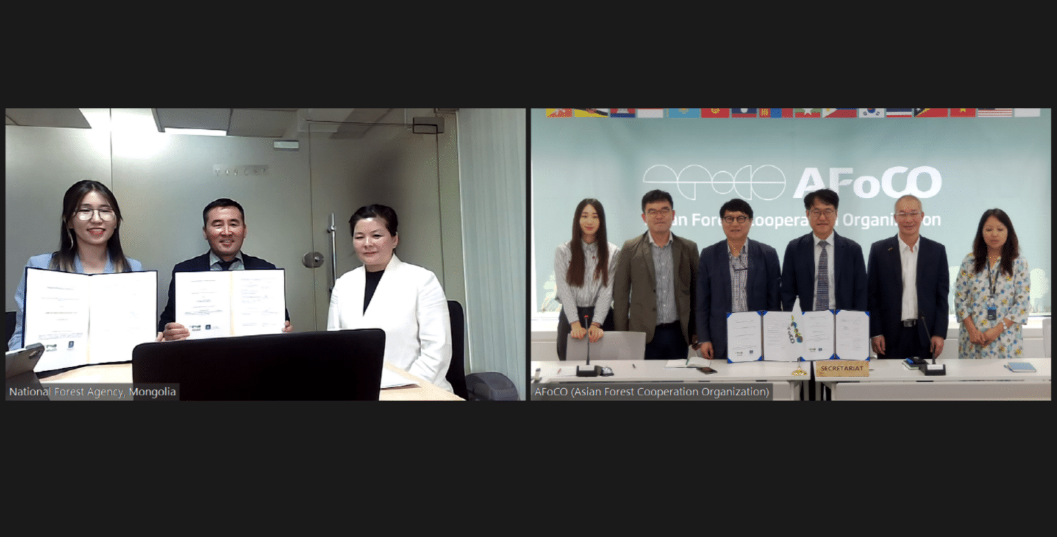 AFoCO and Mongolia sign MoU for Non-Timber Forest Products project ...