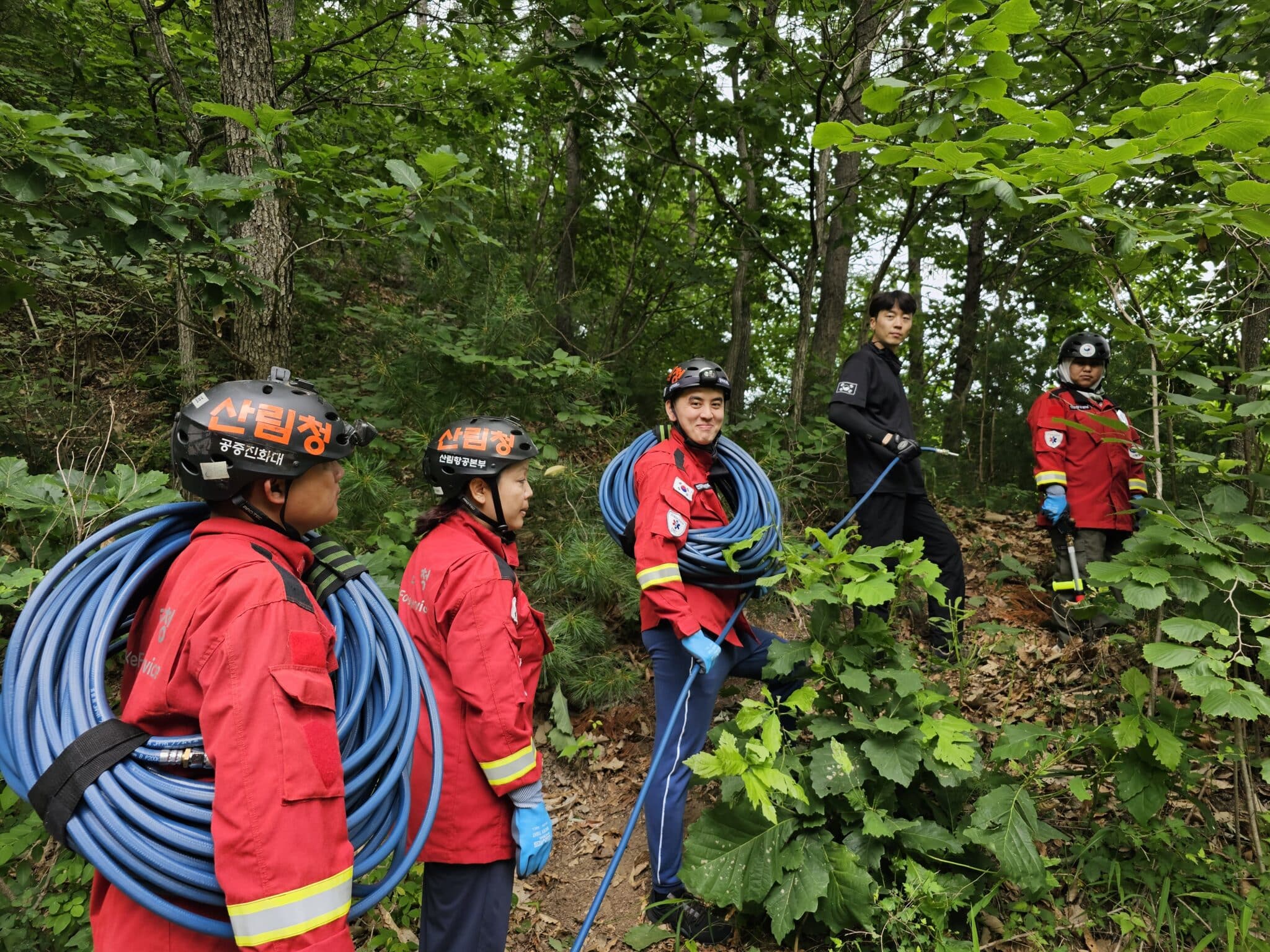 From Fellowships to Firefighters: Transformative forest fire management ...