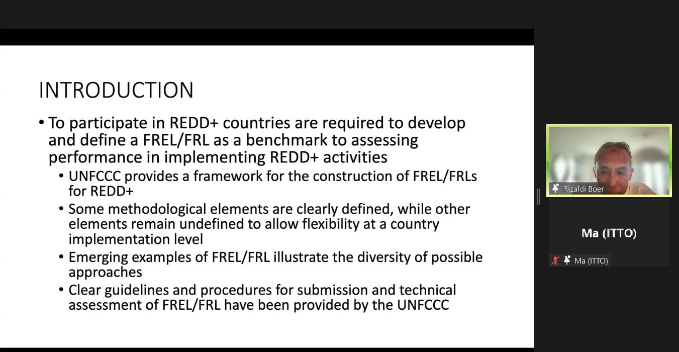 Insights from the 2023 AFoCO-ITTO Capacity-Building Workshop on ...