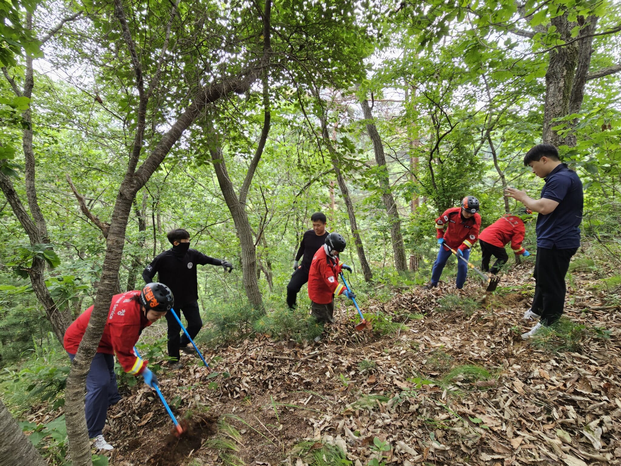 Information and Communication Technology (ICT) for Adaptation to Climate Change and Forest Fire ...