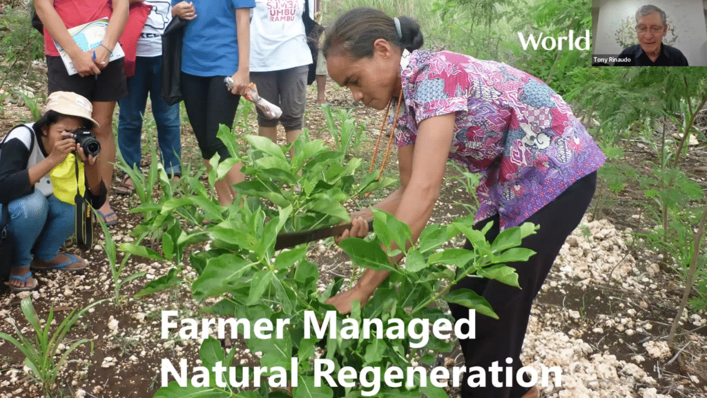 LPA Webinar Series 2024 #3 Drylands Restoration as Nature-based ...