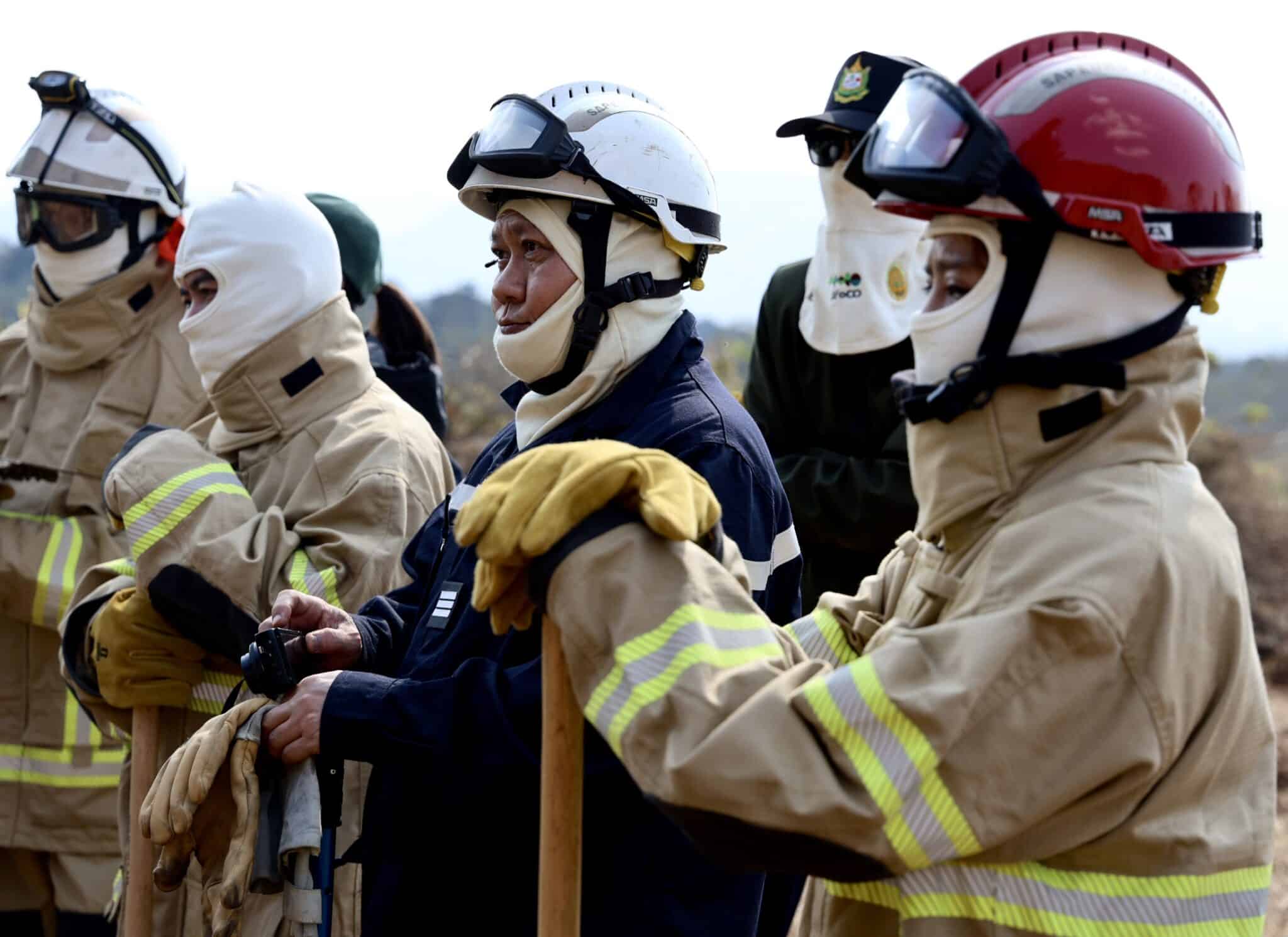 Beyond Training: Sustaining Regional Cooperation in Forest Fire ...