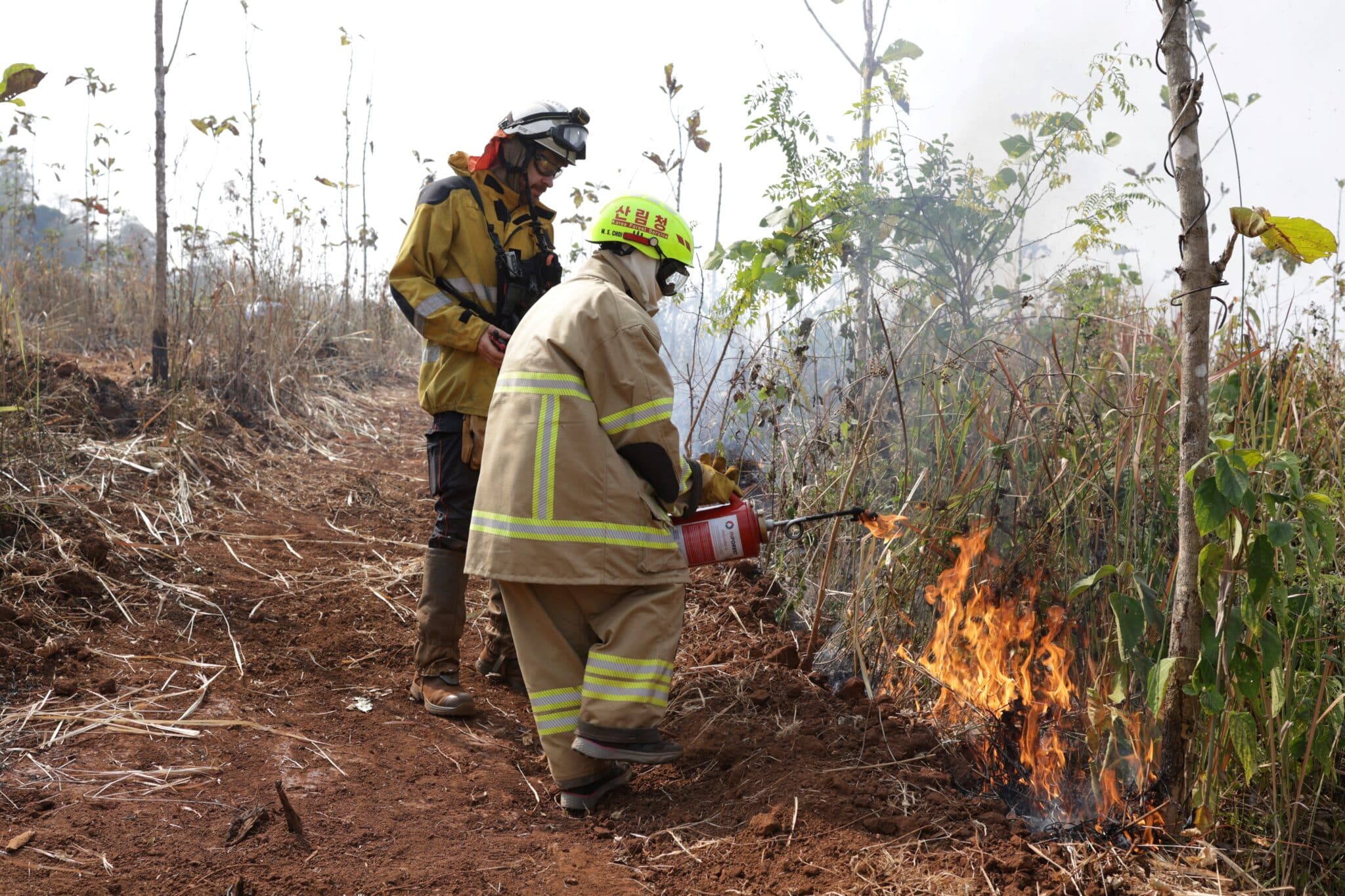 Beyond Training: Sustaining Regional Cooperation in Forest Fire ...