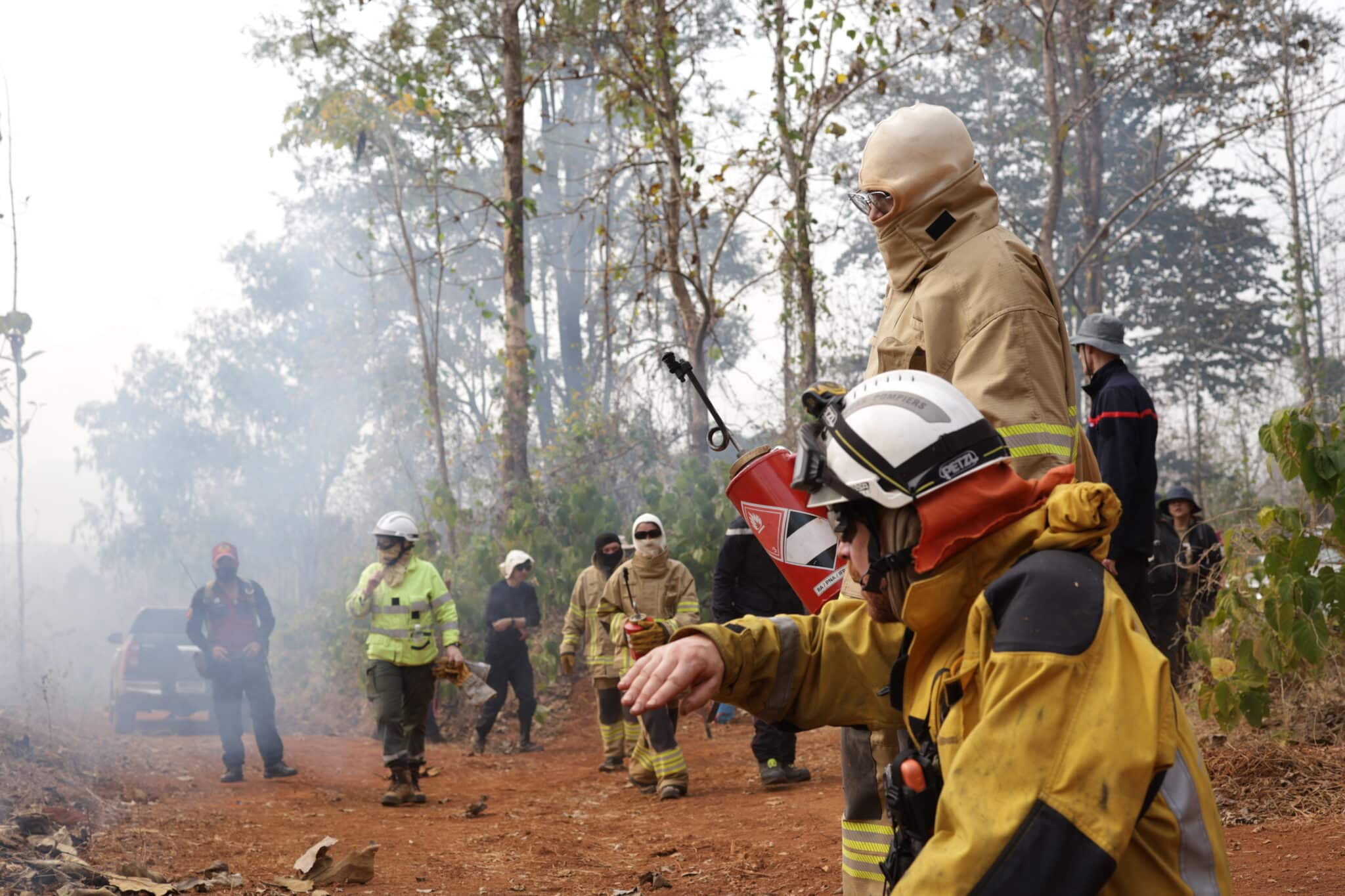 Beyond Training: Sustaining Regional Cooperation in Forest Fire ...
