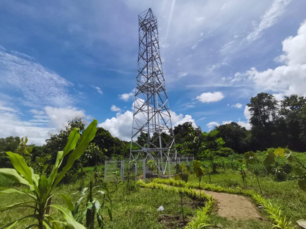 Standing Guard: How Fire Lookout Towers Are Transforming Forest ...