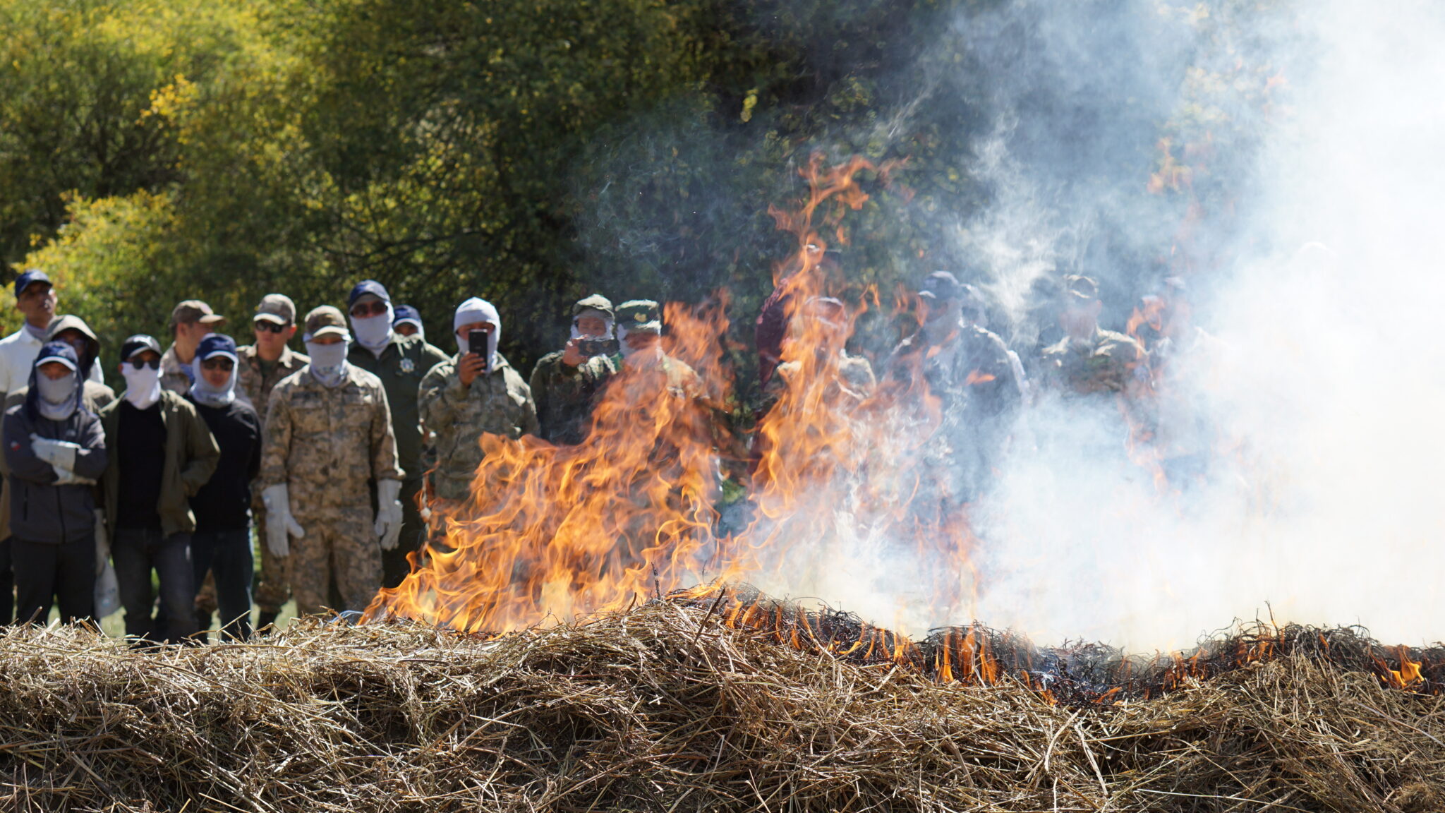 AFoCO | Asian Forest Cooperation Organization
