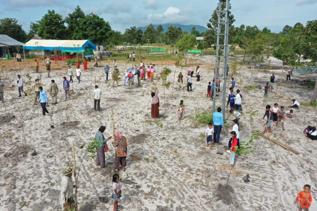 Restoring Forest Land for a Better Resilience to Fires | AFoCO