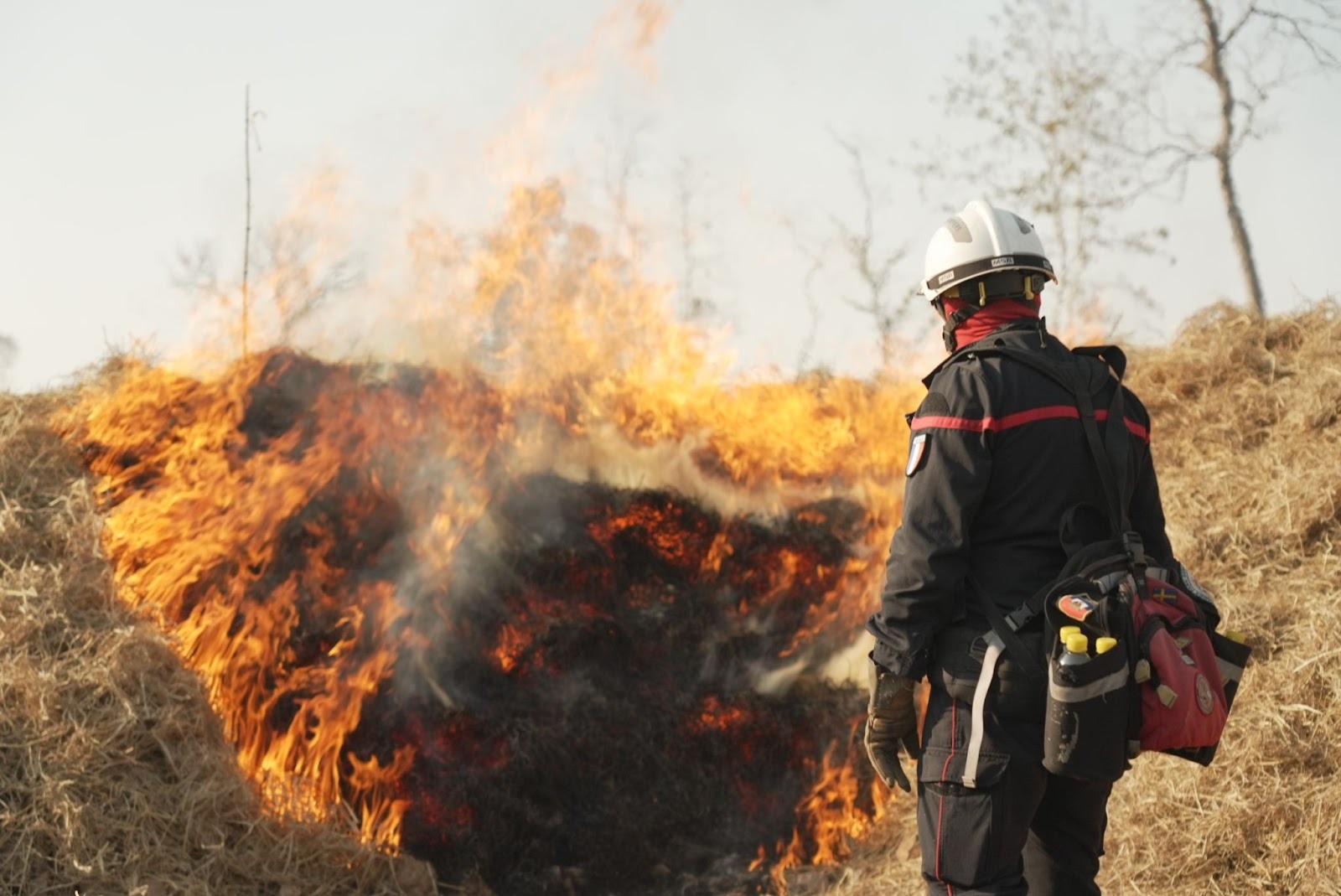 Second-Week Recap: Advanced Field Training Enhances the 4th AFoCO ...